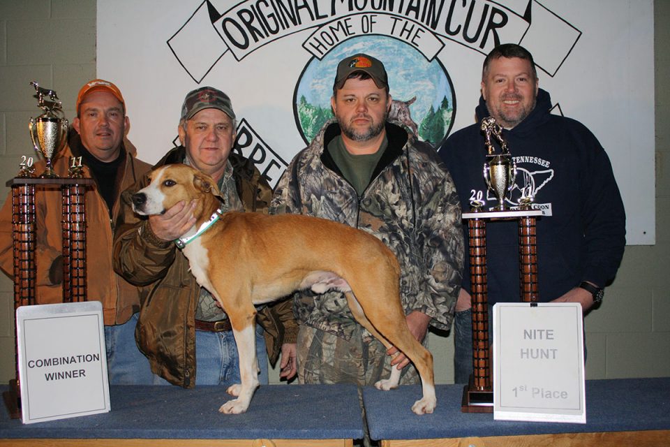 A (Bushy) Tale About Selecting Squirrel Dogs – Mid-South Hunting ...