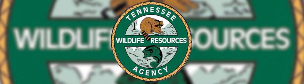 TWRA Seeking Communications and Outreach Director – Mid-South Hunting ...
