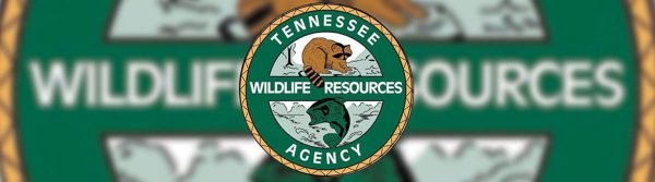 TWRA Requests Public Input For 2022 Fishing Regulations – Mid-South ...